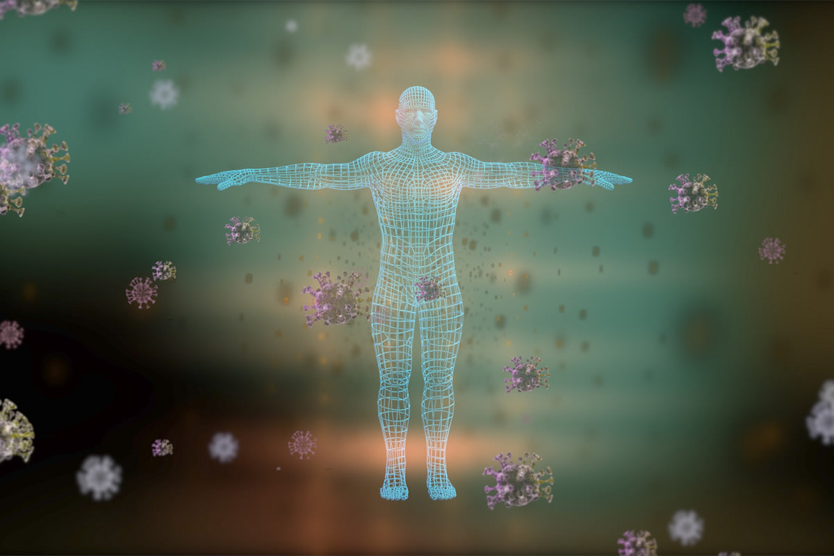 Immune Update How Your Defense Fights & Nutrients That Support It ...